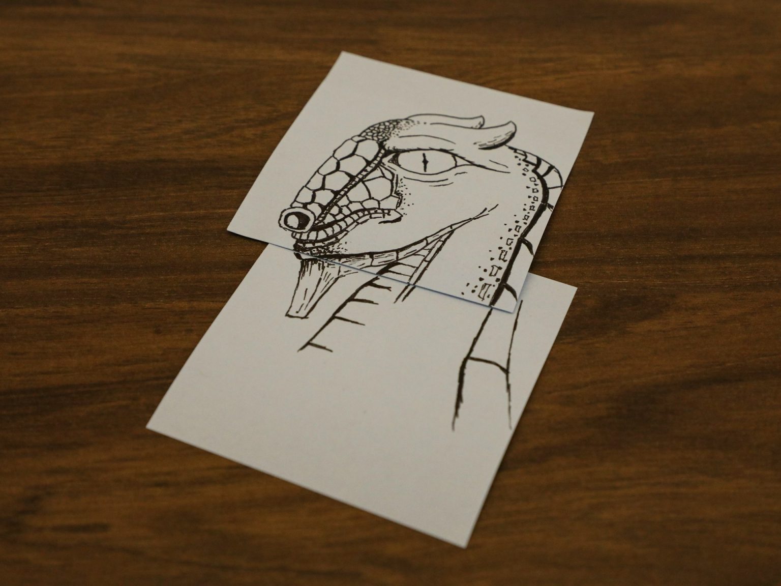 Lagane slike za crtanje: kreativne ideje za početnike! - AOS.hr